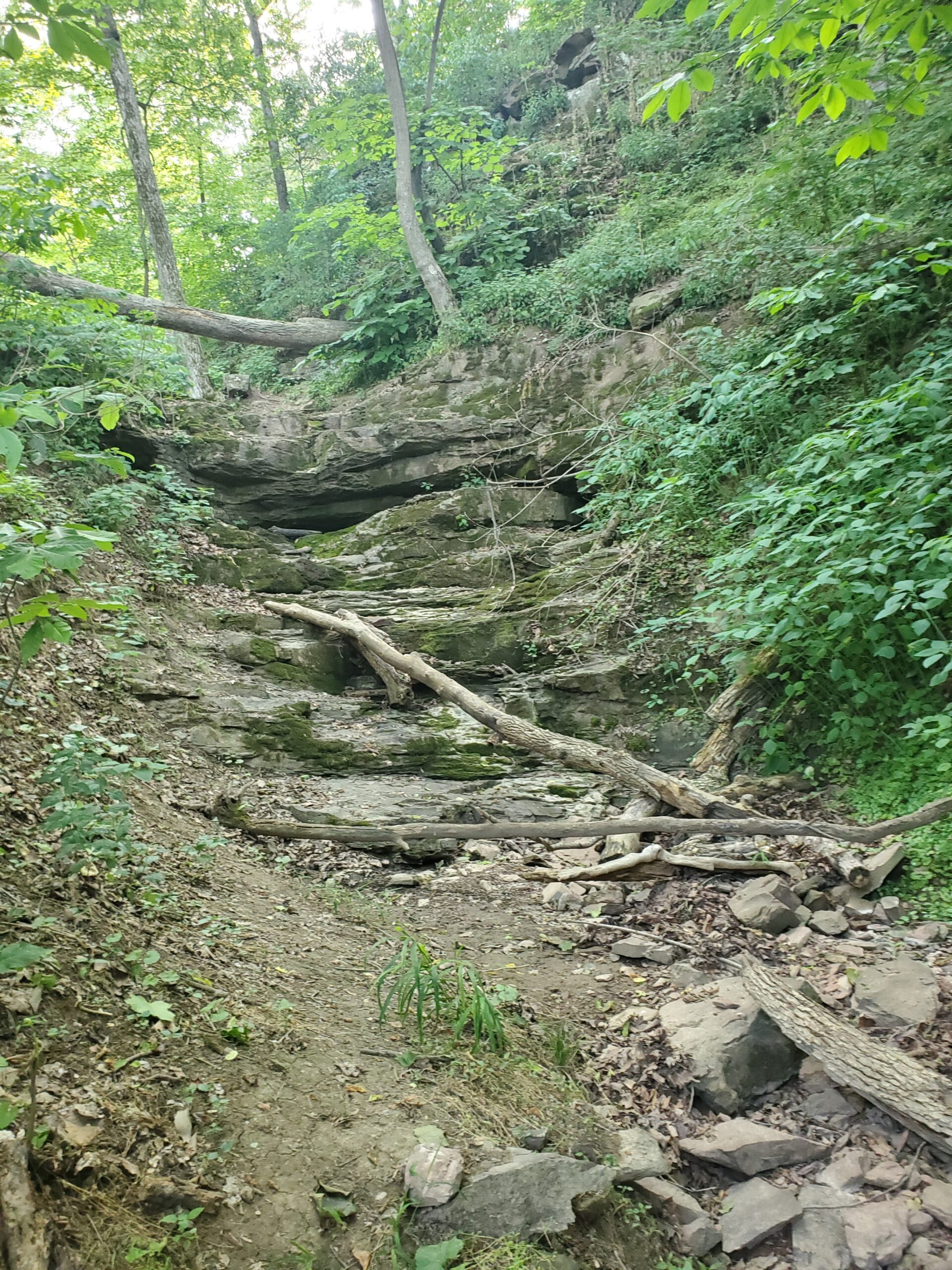 Boating To Harrison Island, Maryland – Retracing History